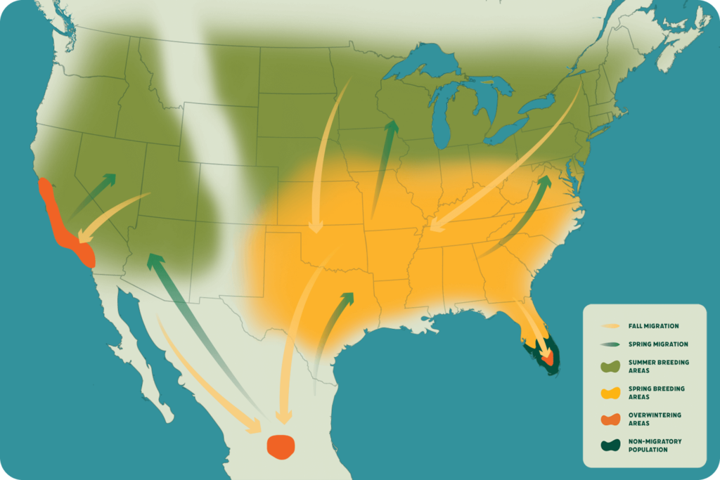 Home - Interactive Monarch Migration Map