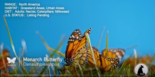 Home - Interactive Monarch Migration Map